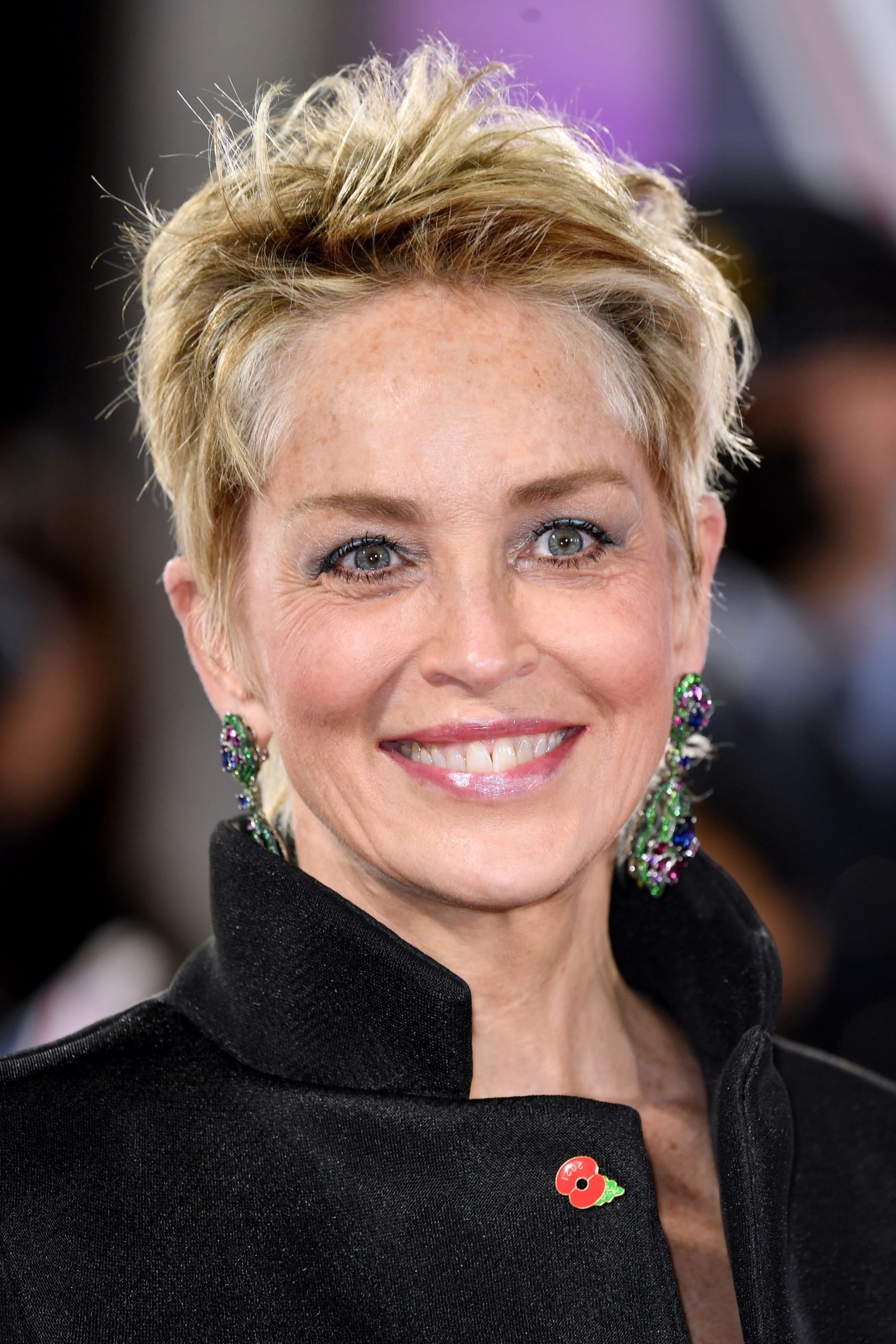 Sharon Stone : Une icône indémodable du cinéma – Populaction Actualités