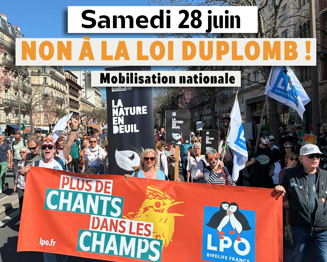 Comprendre la Loi Duplomb et ses Implications – Populaction Actualités