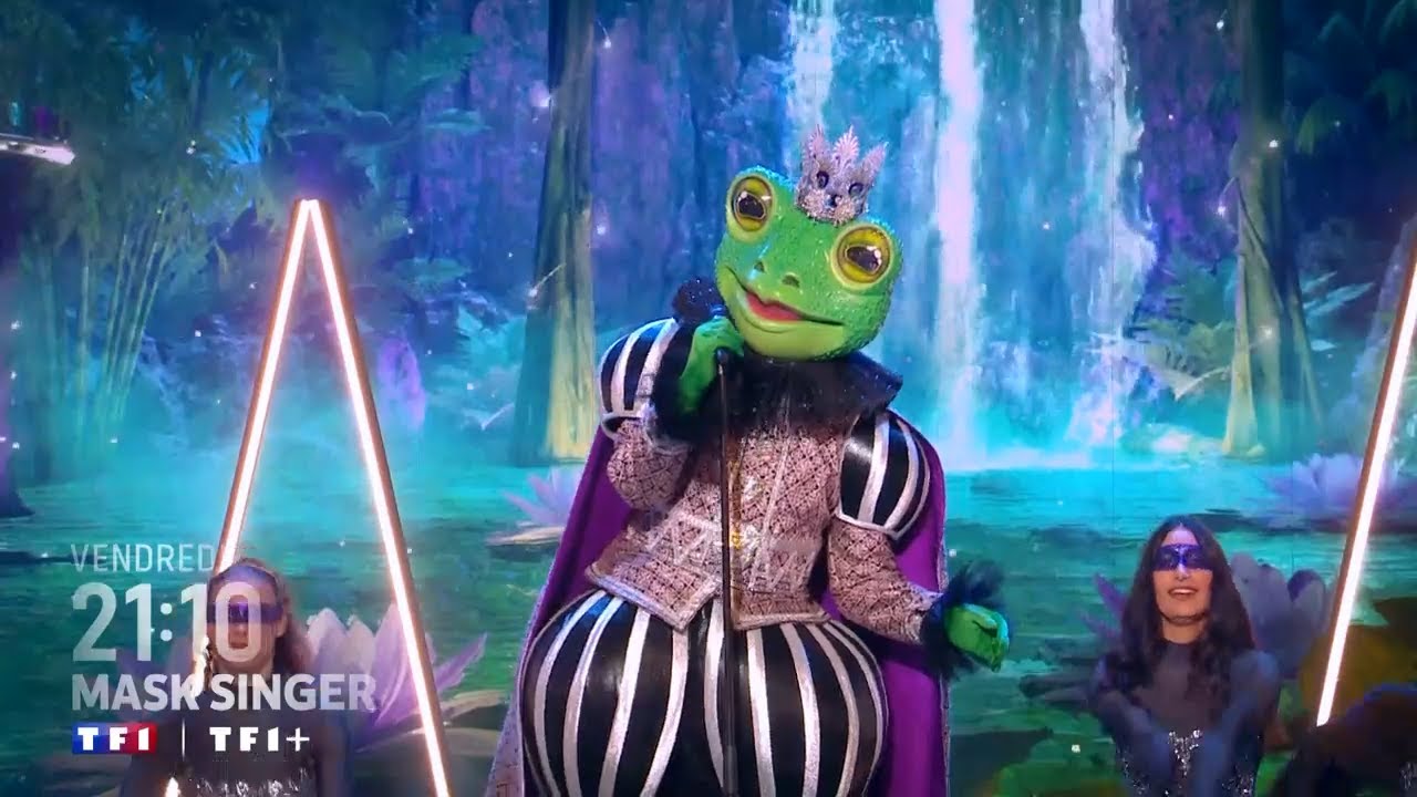 Tout savoir sur Mask Singer TF1 : Spectacle et Mystère – Populaction ...