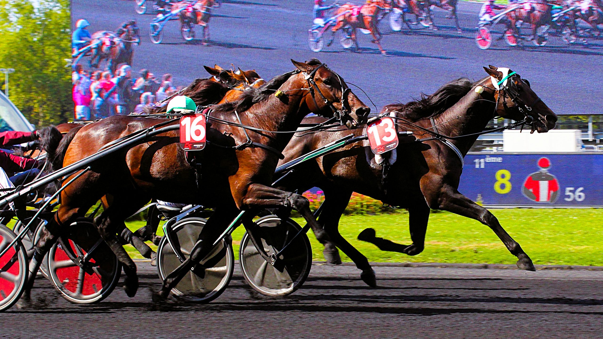 Les Résultats PMU : Tout Ce Que Vous Devez Savoir – Populaction Actualités