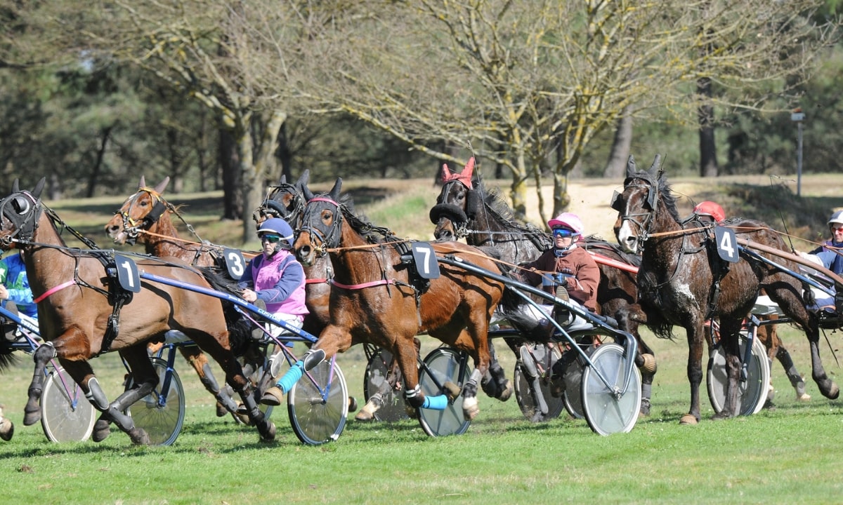 Turfoo : La Nouvelle Référence des Paris Sportifs en Ligne ...